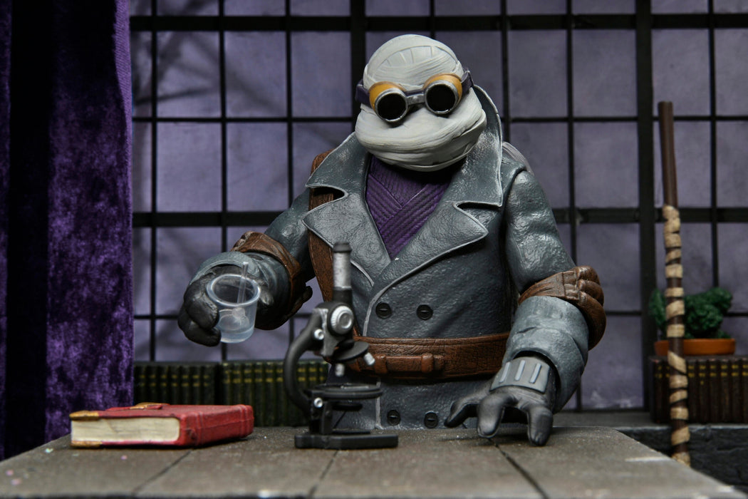 NECA Universal Monsters Teenage Mutant Ninja Turtles Donatello as The ...